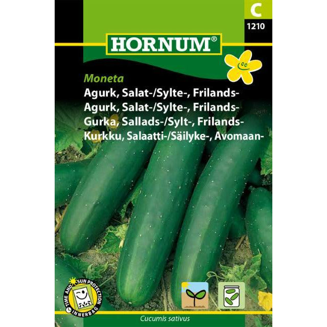 Salad cucumber Friland Moneta – Arctic Chili