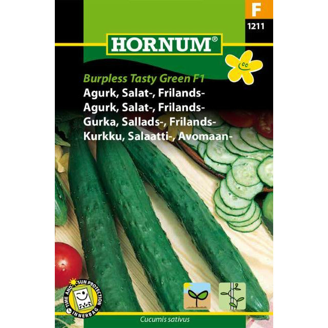 Burpless Tasty Green Cucumber – Arctic Chili