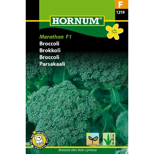 Broccoli Marathon F1 – Arctic Chili